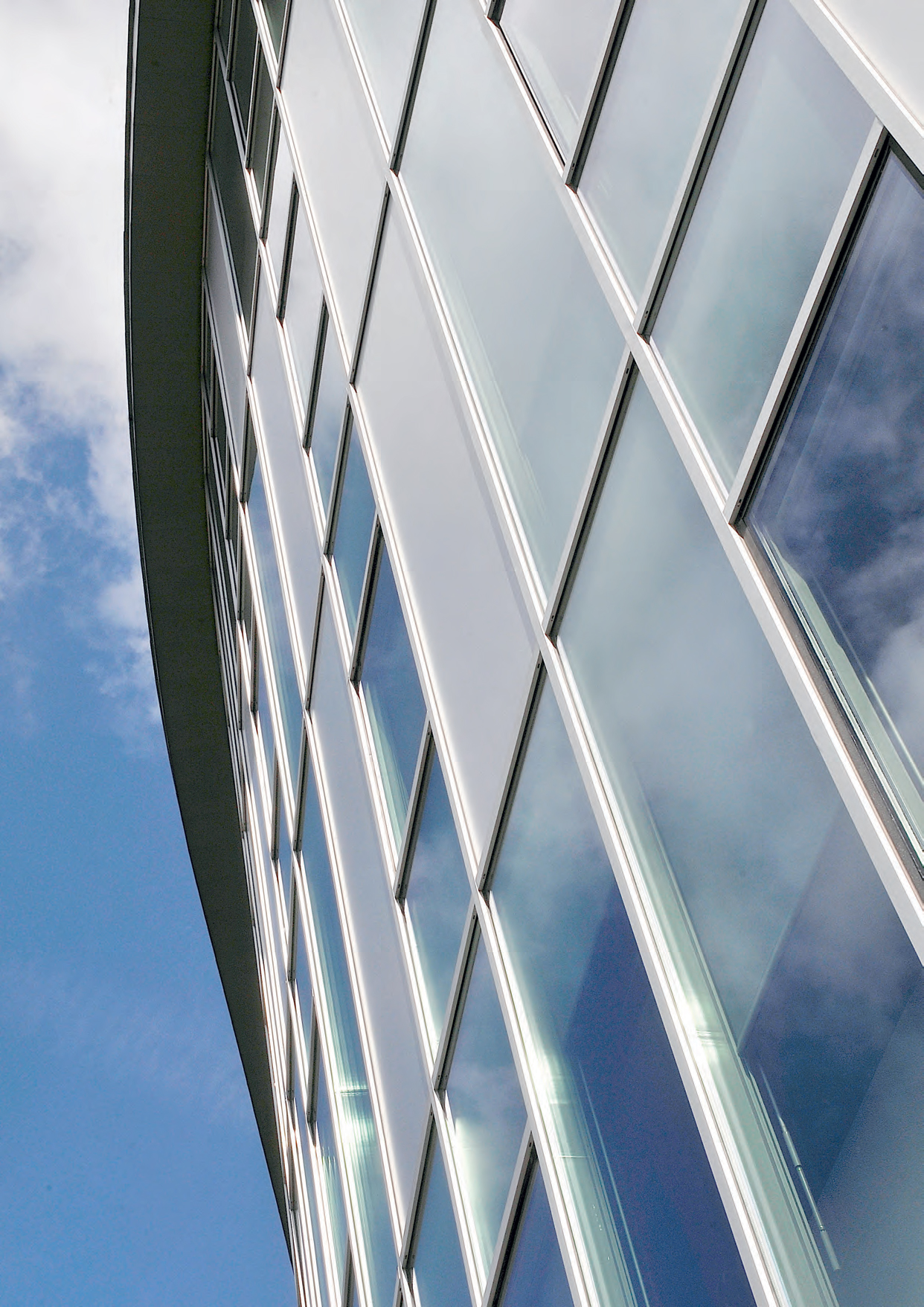 What Is Curtain Walling? A Guide to Modern Architectural Facades